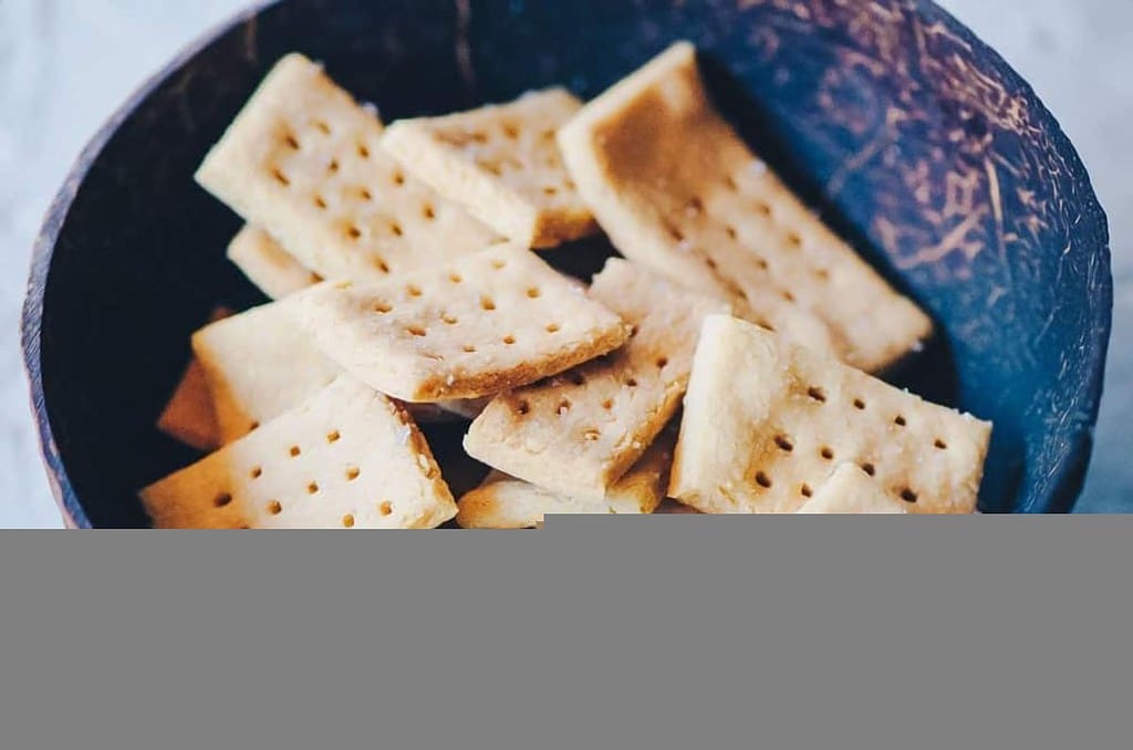 40 Plant Based Snack Recipes