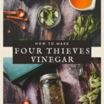 Four Thieves Vinegar - MOON and spoon and yum