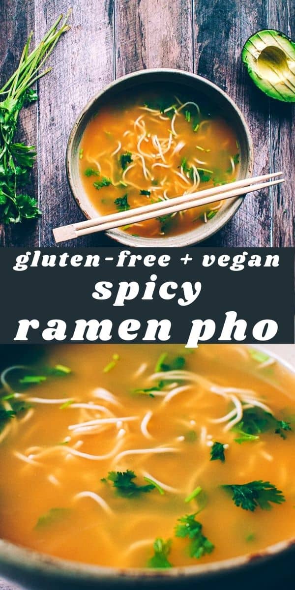 Spicy Vegan Noodle Soup | MOON and spoon and yum