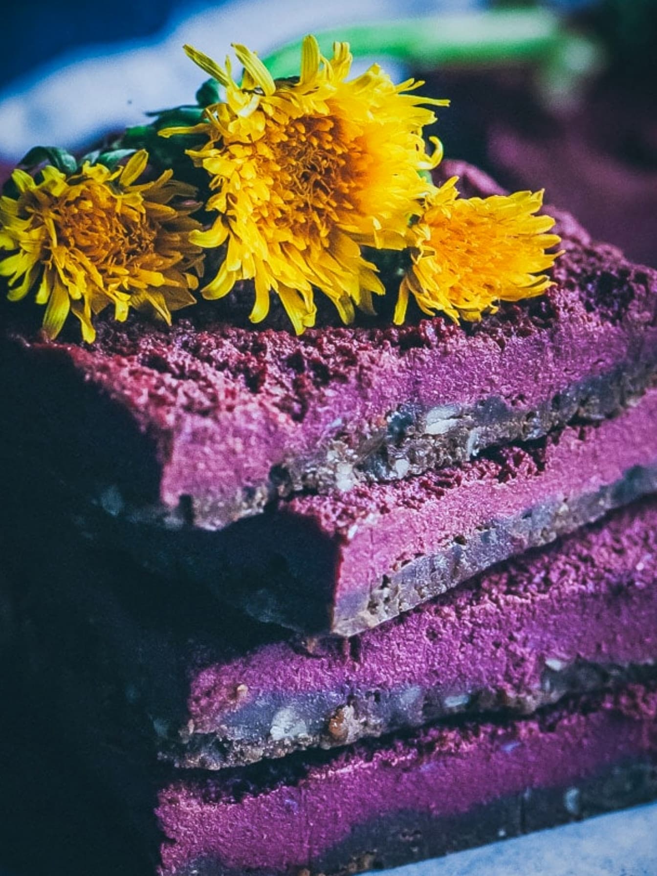 No-Bake Chocolate Beet Dandelion Bars - MOON and spoon and yum