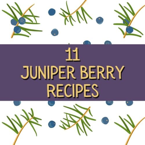 All About Juniper Berries + 11 Recipes - MOON and spoon and yum