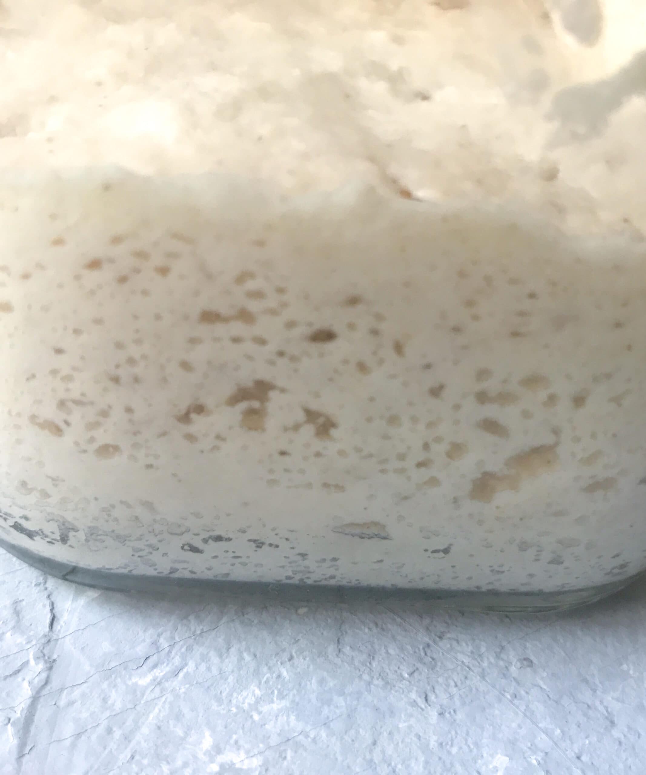 Gluten-Free Sourdough Starter | MOON and spoon and yum