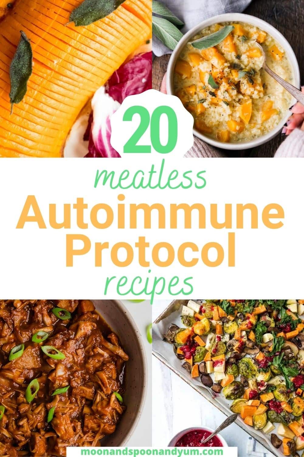 20 Vegetarian AIP Recipes