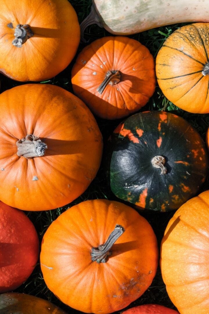 What's in Season? October Produce Guide