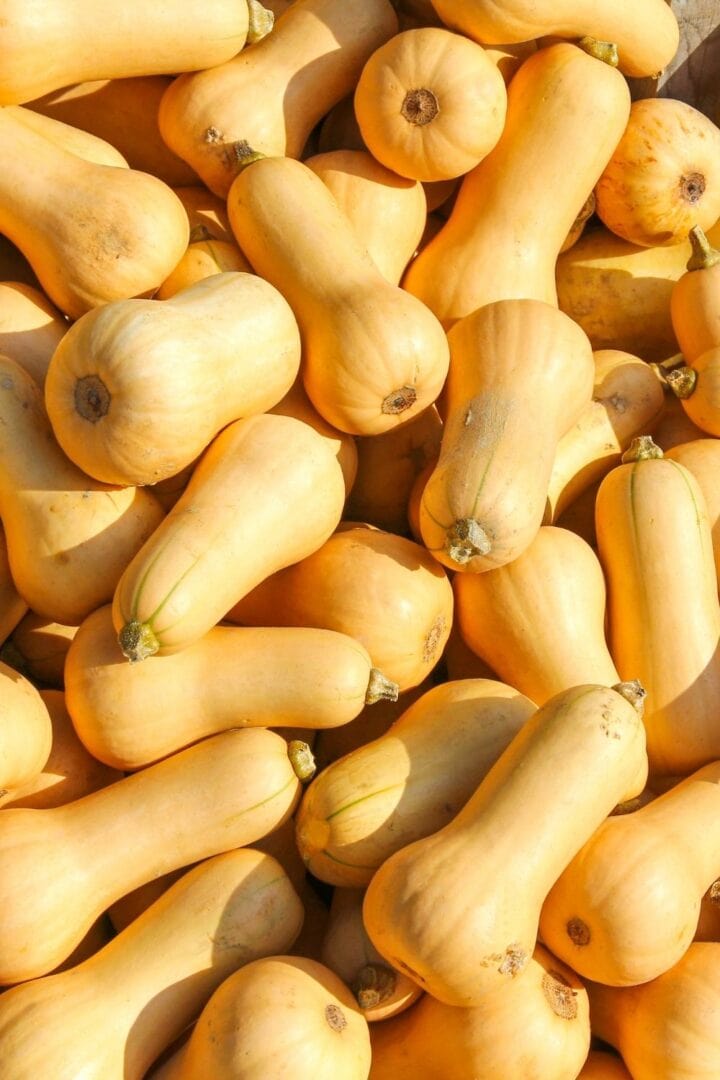 What's in Season? October Produce Guide