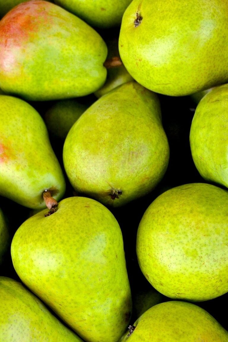 What's in Season? September Produce Guide
