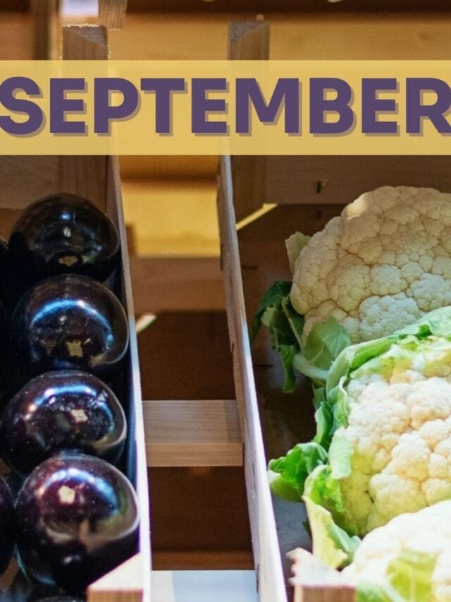 Seasonal Produce Guides - MOON and spoon and yum