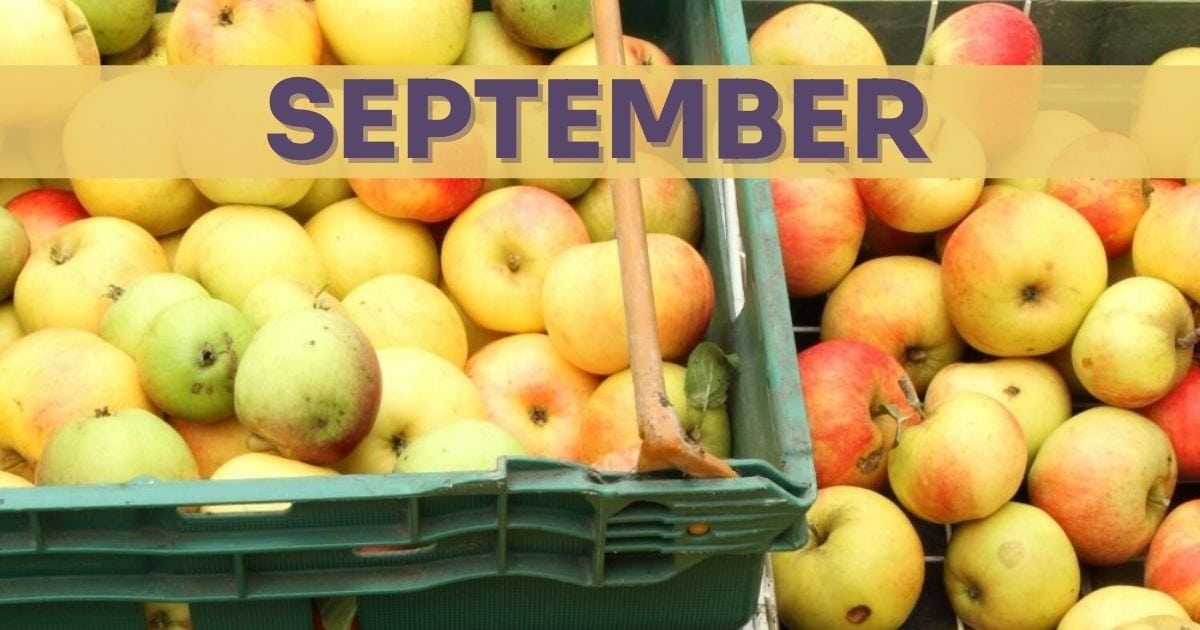 What's in Season? September Produce Guide
