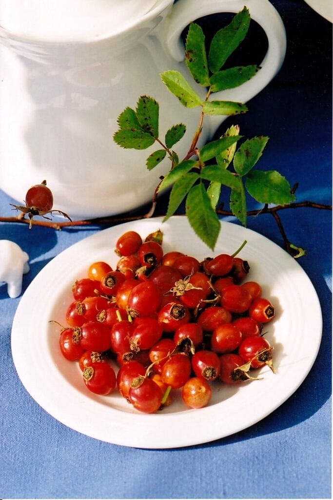 What's in Season? November Produce Guide