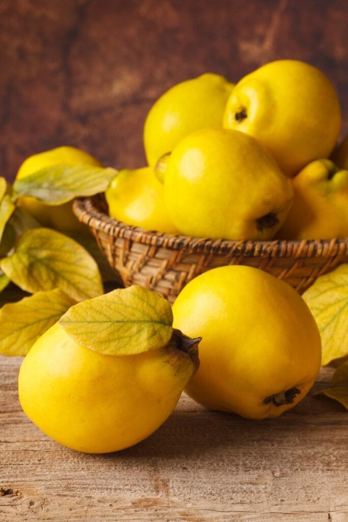 What's in Season? November Produce Guide