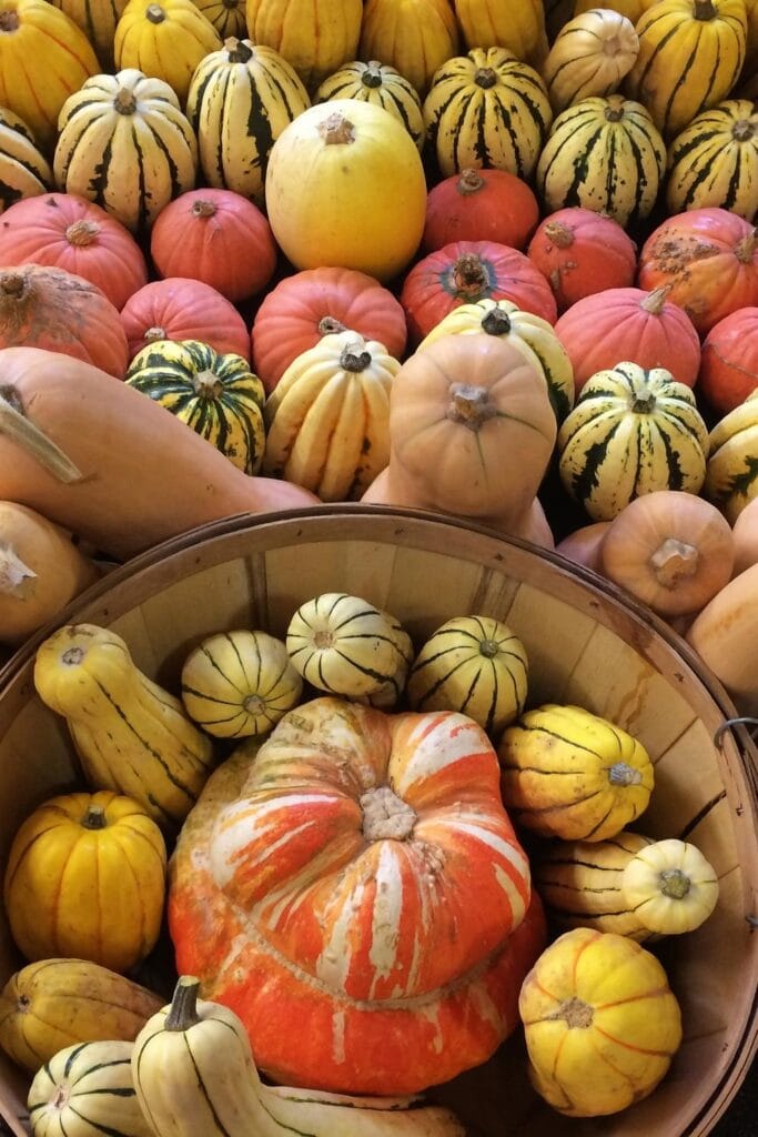 What's in Season? November Produce Guide