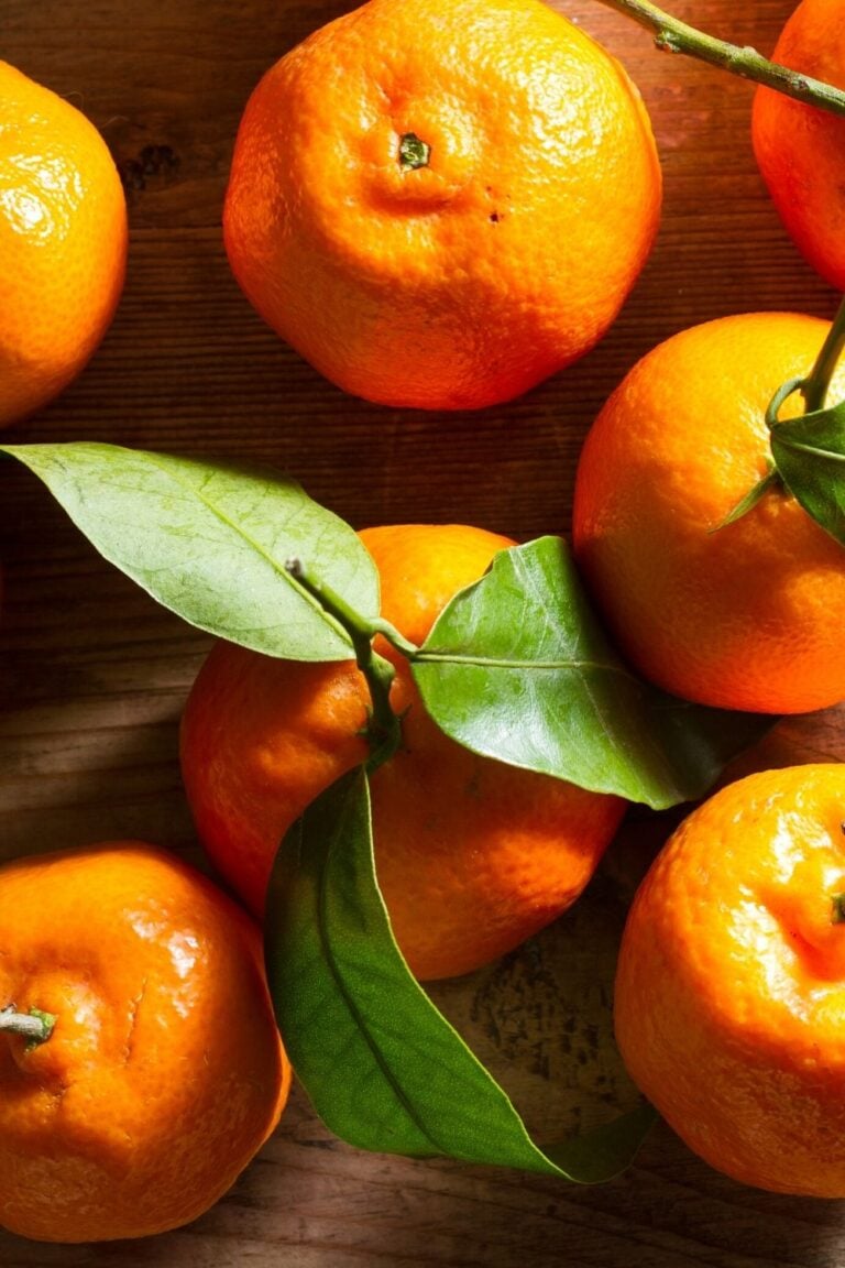 What's in Season? December Produce Guide