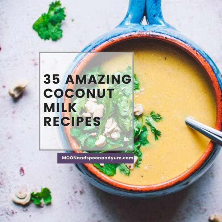 35+ Easy Coconut Milk Recipes - MOON and spoon and yum