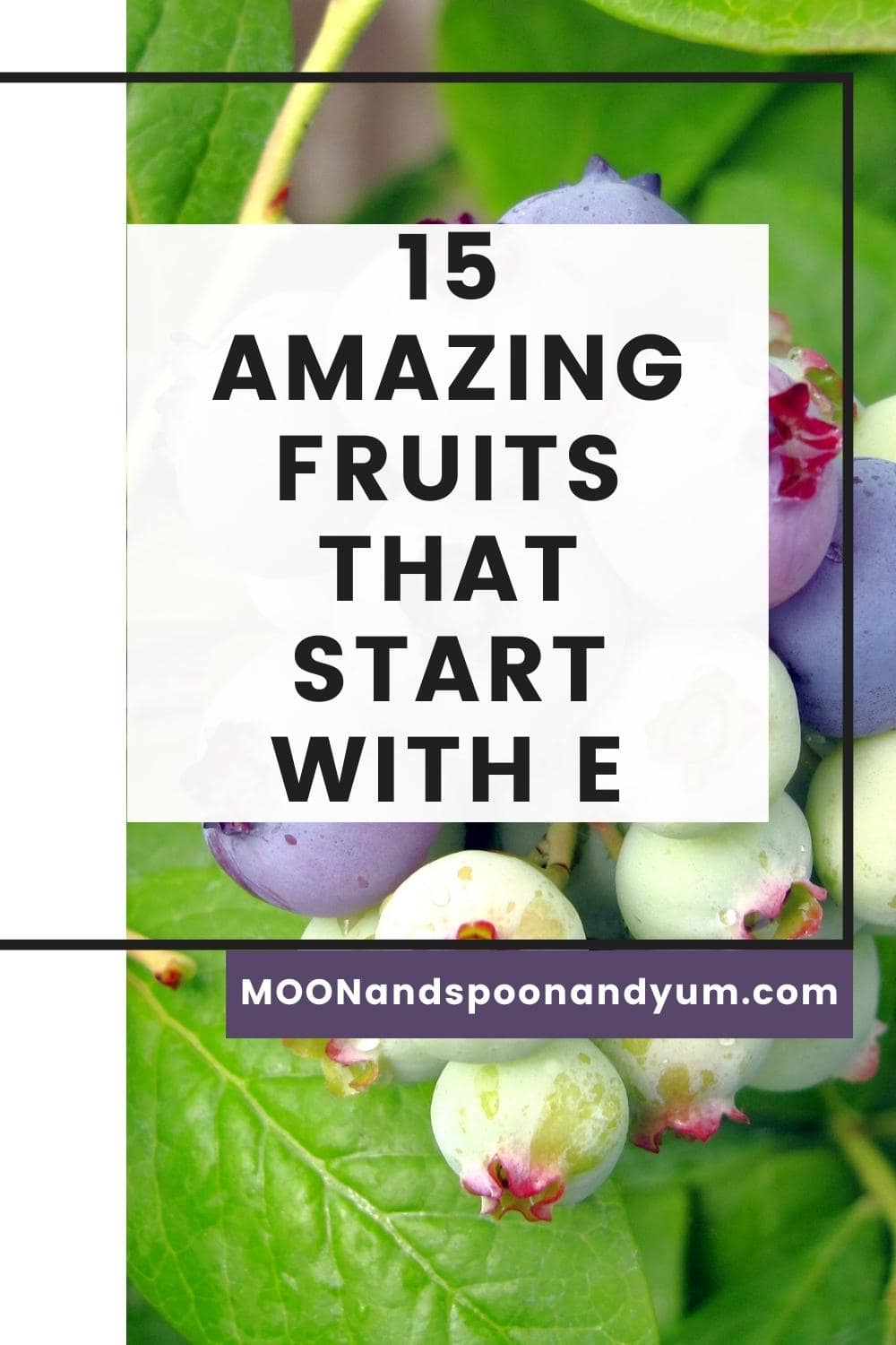 17 Amazing Fruits That Start With E - MOON and spoon and yum