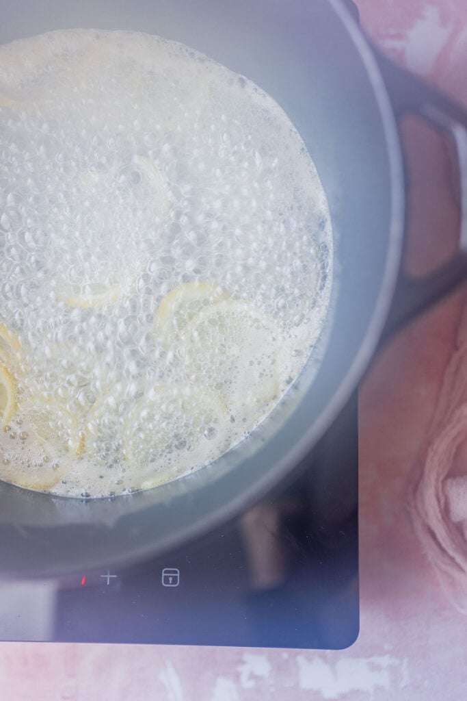 Candied Lemon Slices - MOON and spoon and yum