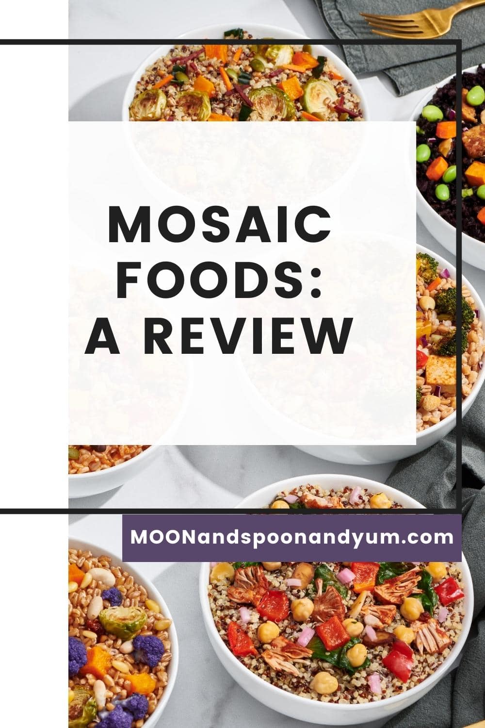 Mosaic Foods Review - MOON and spoon and yum