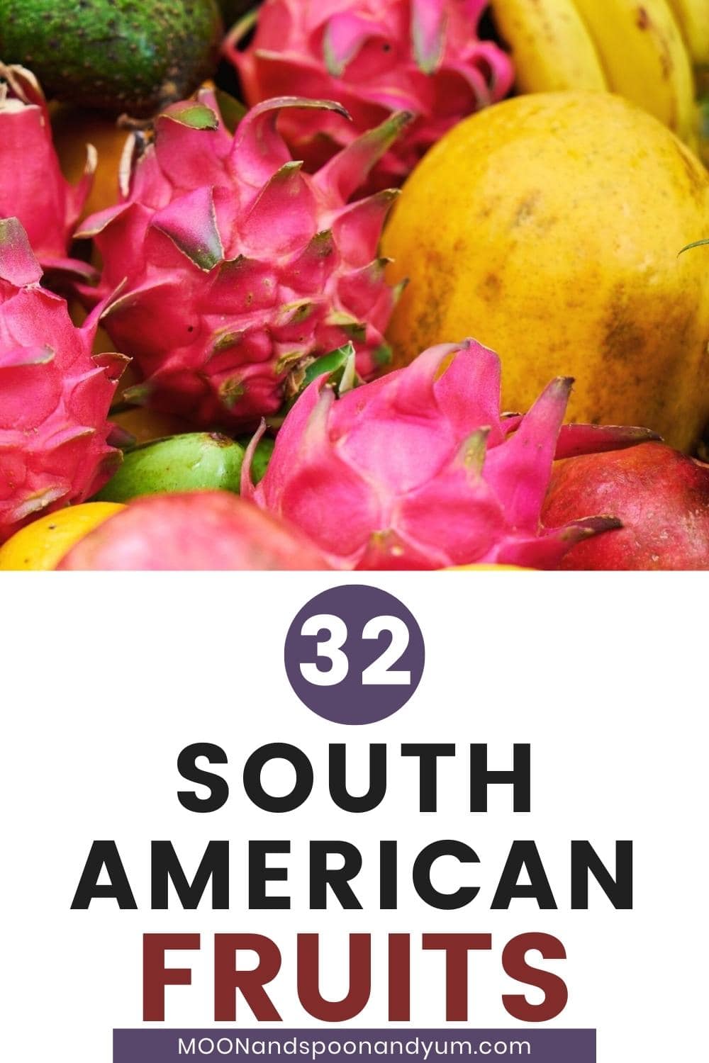 32 Exotic South American Fruits - MOON and spoon and yum