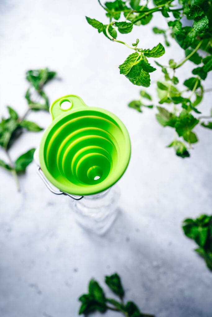 Fresh Mint Simple Syrup - MOON and spoon and yum