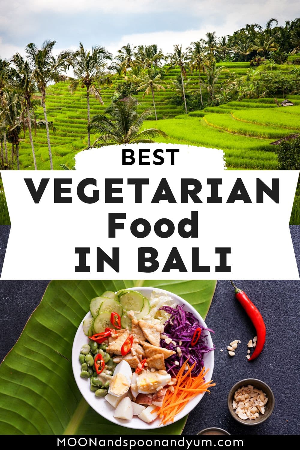 Best Vegetarian Food in Bali - MOON and spoon and yum