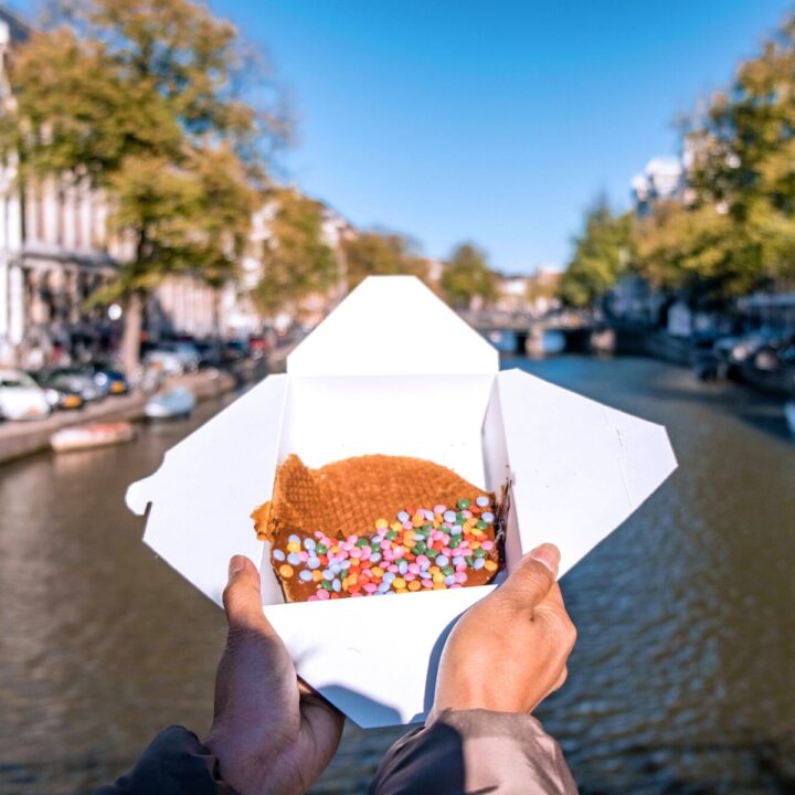 7 Best Vegetarian Street Foods in Amsterdam You Have to Try!