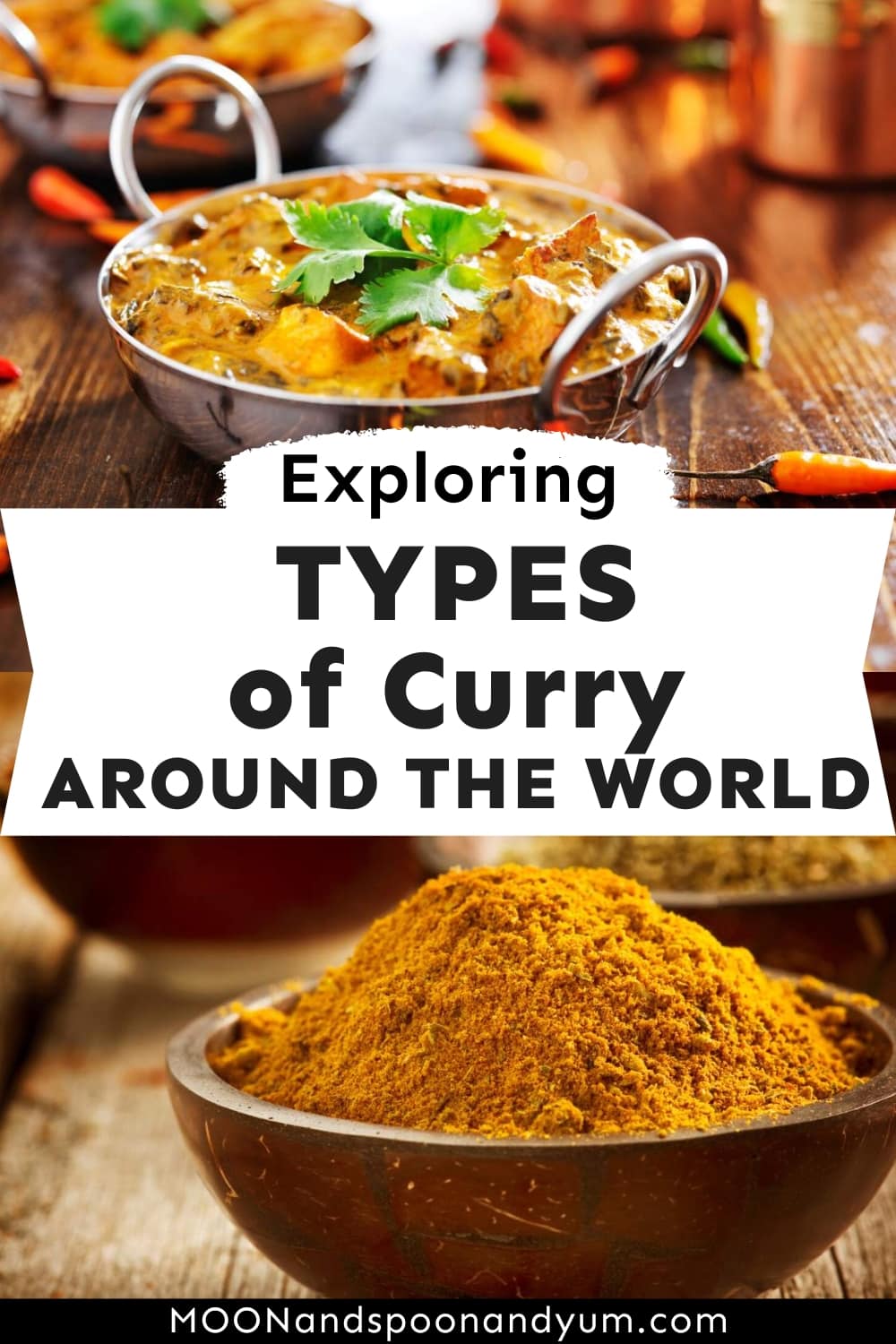 Exploring Types of Curry Around the World - MOON and spoon and yum