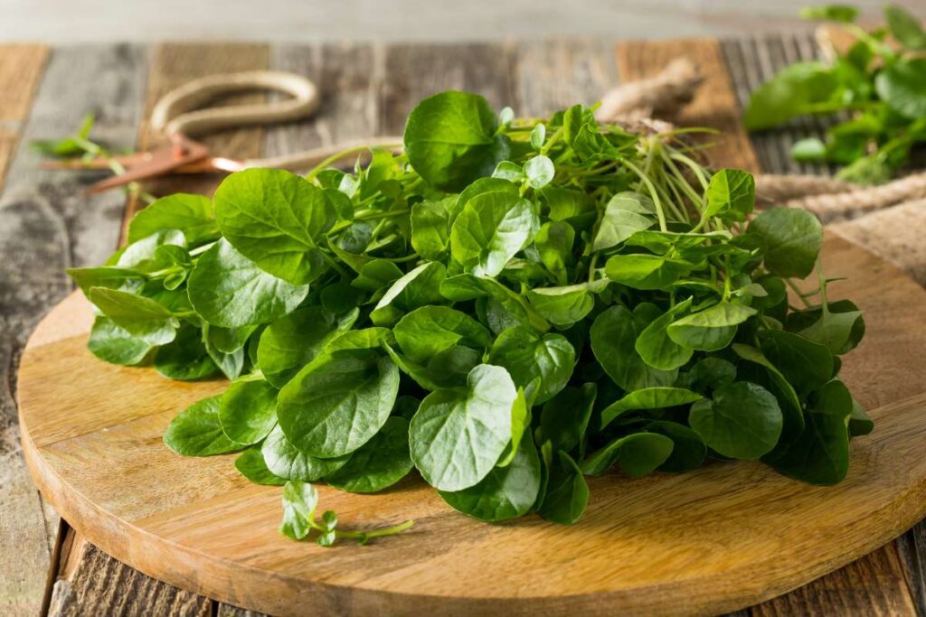 20 Vegetables That Start With W - MOON and spoon and yum