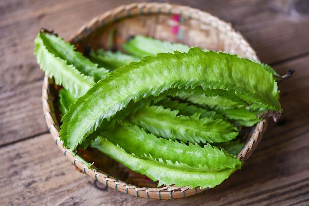 20 Vegetables That Start With W - MOON and spoon and yum