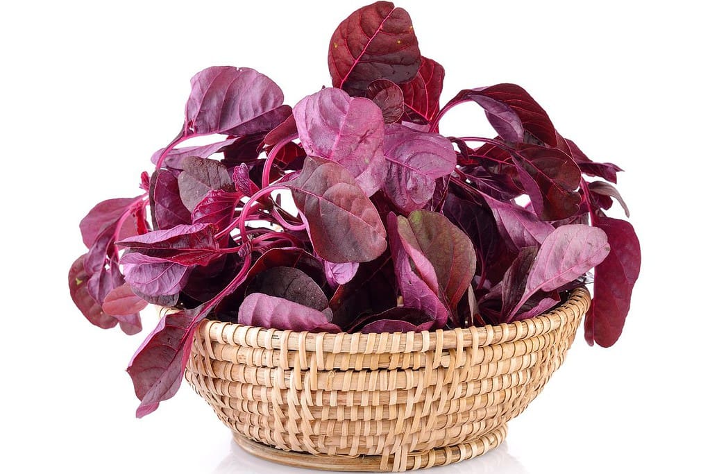 25 Purple Vegetables You Need to Try - MOON and spoon and yum