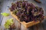 25 Purple Vegetables You Need to Try - MOON and spoon and yum