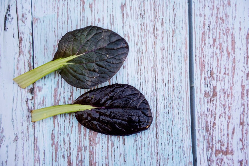 25 Purple Vegetables You Need to Try - MOON and spoon and yum