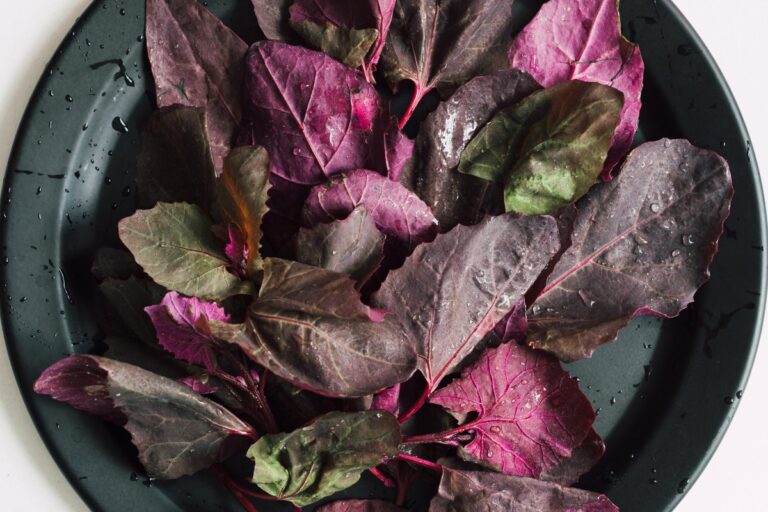25 Purple Vegetables You Need to Try - MOON and spoon and yum