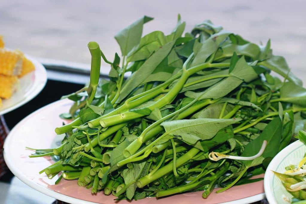 20 Vegetables That Start With W - MOON and spoon and yum