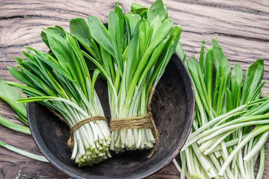 20 Vegetables That Start With W - MOON and spoon and yum