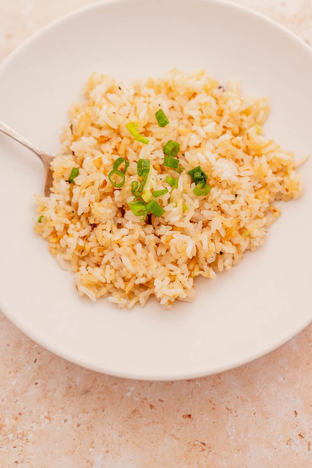 Quick and Easy Garlic Fried Rice (Sinangag) - MOON and spoon and yum