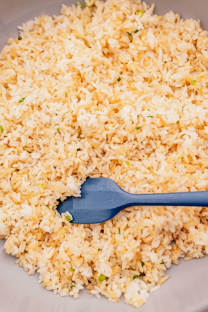 Quick and Easy Garlic Fried Rice (Sinangag) - MOON and spoon and yum