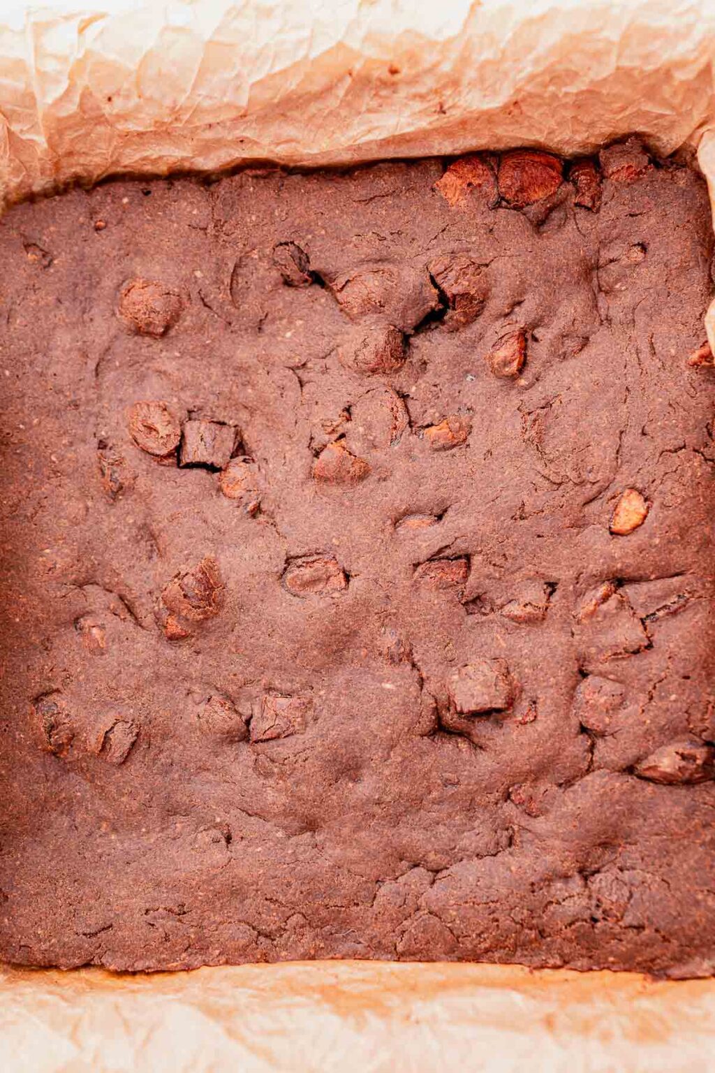 Choco-Spice Apricot Buckwheat Breakfast Bars - MOON and spoon and yum