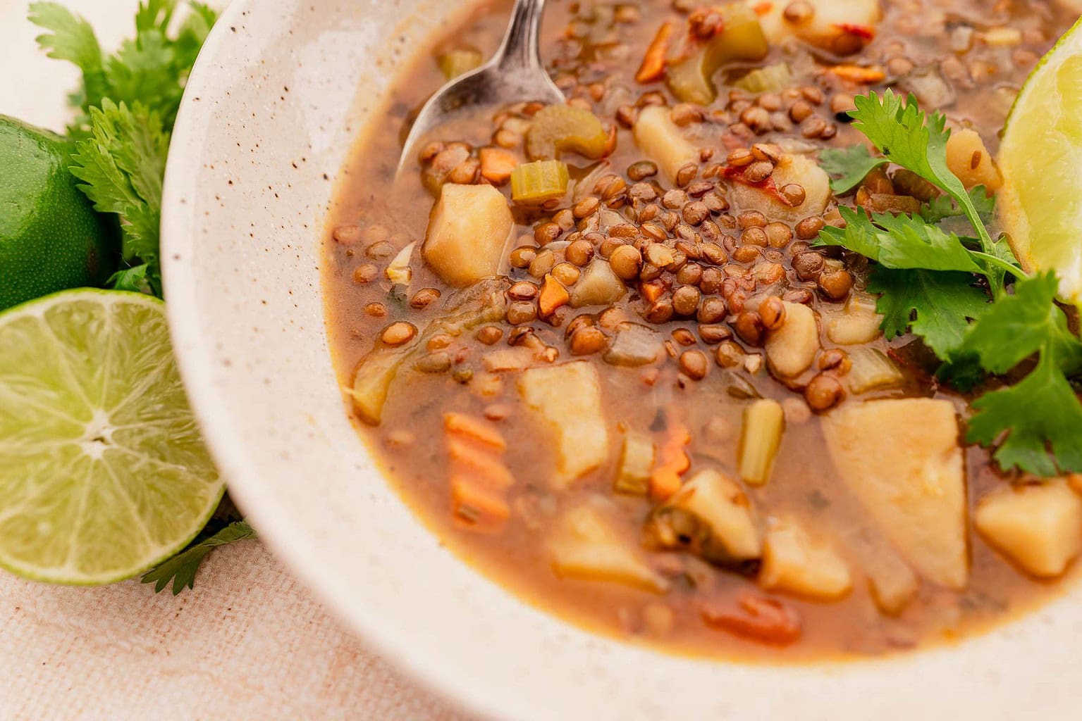 Lentejas (Mexican Lentil Soup) Recipe - The Good Men Project