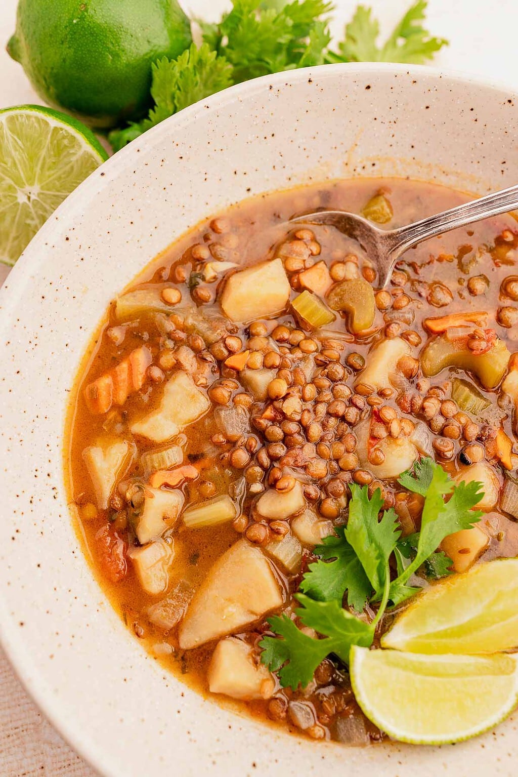 Lentejas (Mexican Lentil Soup) Recipe - The Good Men Project