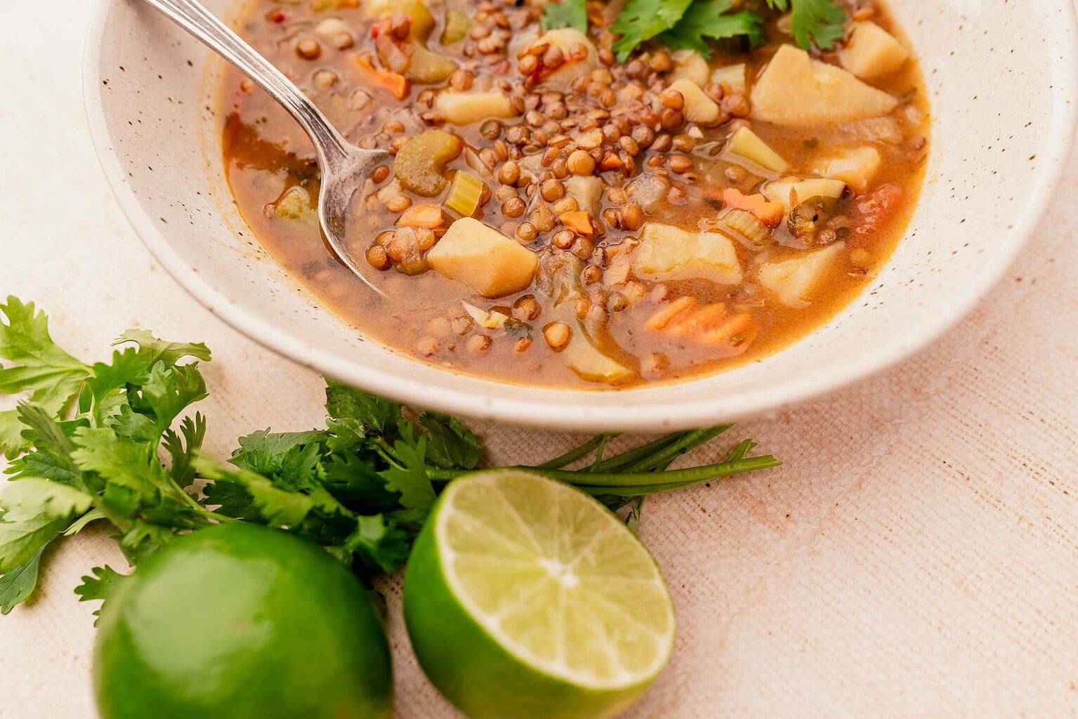 Lentejas (Mexican Lentil Soup) Recipe - The Good Men Project