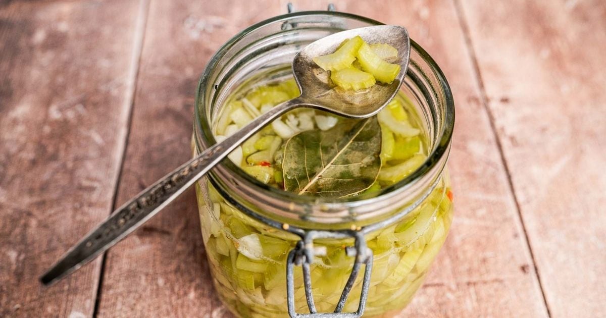 Easy Pickled Celery (Quick and Delicious!) - MOON and spoon and yum